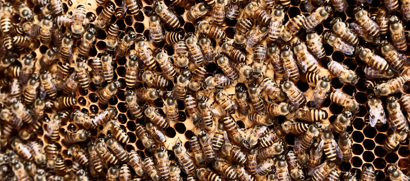 About Bounded Contexts and Microservices | Avanscoperta Blog About Bounded Contexts and Microservices | Avanscoperta Blog